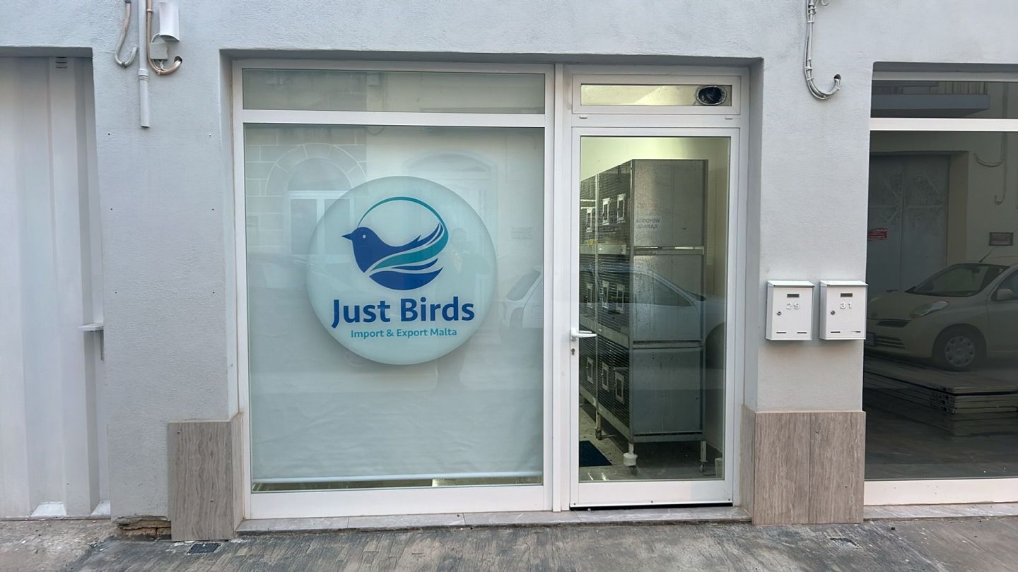 Just Birds Import & Export Malta – Buy exotic birds from the best bird ...